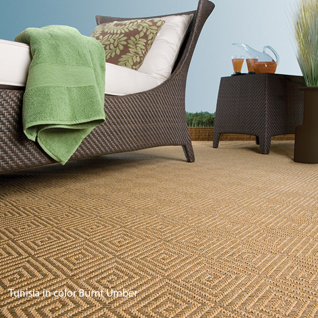 All Weather Outdoor Area Rug in Custom and 15 Standard Sizes-Tunisia ...